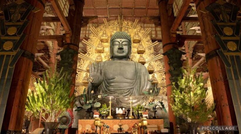 From Osaka/Kyoto: Private Kyoto & Nara Day Trip with Pickup - FAQ: Private Kyoto & Nara Day Trip