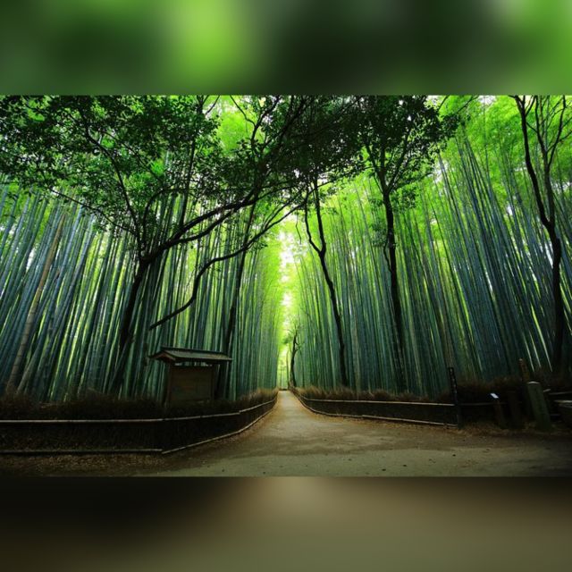 From Osaka/Kyoto: Private Kyoto & Nara Day Trip With Pickup - Key Points