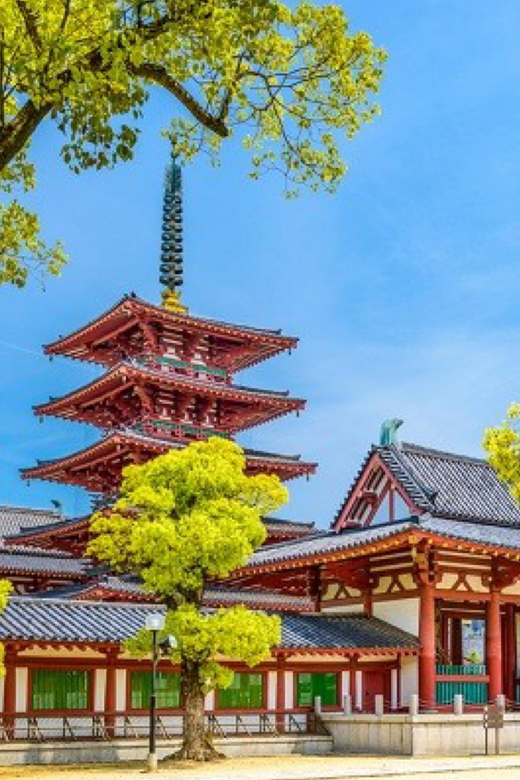 From Osaka/Kyoto : Private Osaka Day Trip W/Pickup & Dropoff - Namba Yasaka Shrine