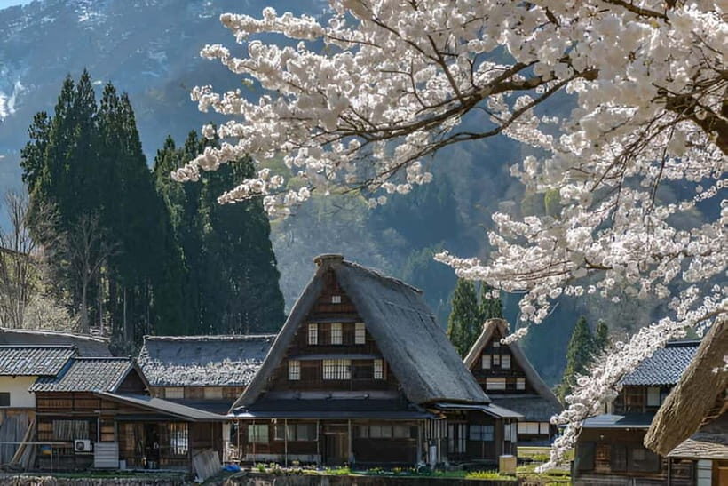 From Osaka/Kyoto: Shirakawa-go and Gokayama Day Tour - The Itinerary: What to Expect on This Private Day Trip
