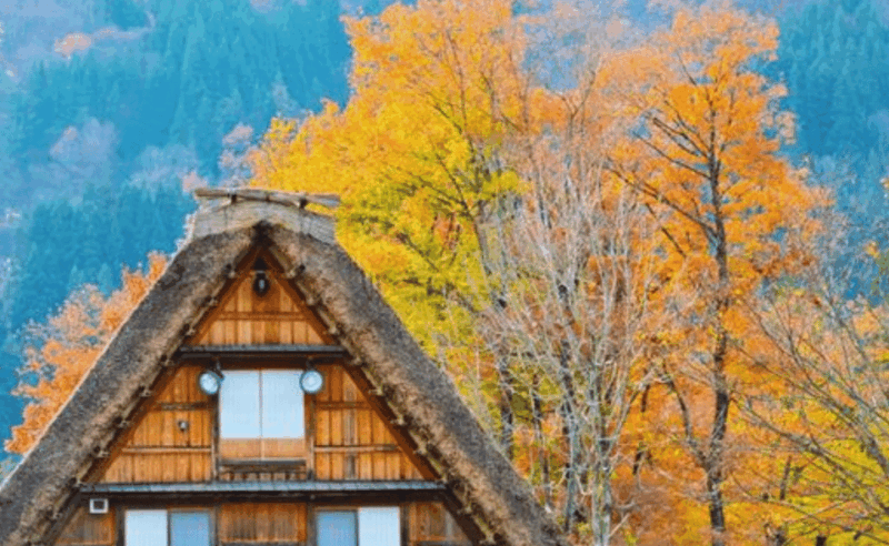 From Osaka/Kyoto: Shirakawa-go, TakaYama & Kanazawa Day Trip - Itinerary and Activities