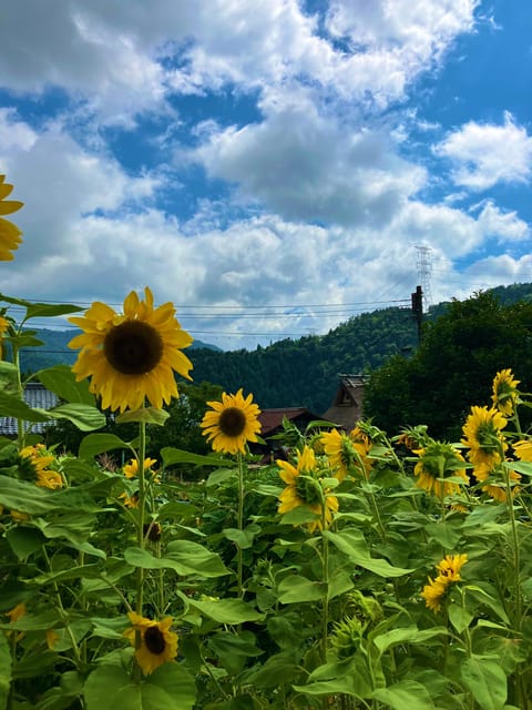 From Osaka: Kyoto Thatched Roof Village Private Car Tour - Farm-Fresh Meal