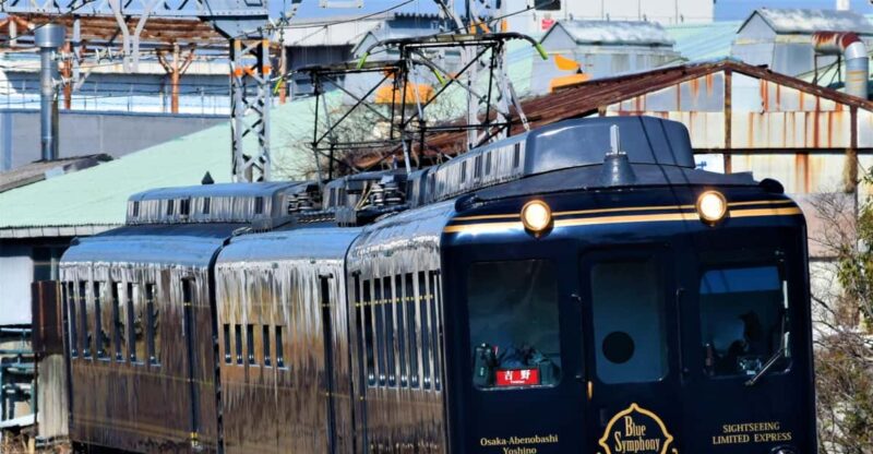 From Osaka: Mount Yoshino and Mount Koya 2-Day Tour - Inclusions