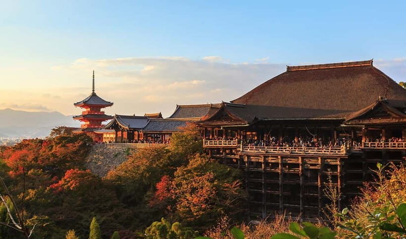 From Osaka: Nara Deer & Kyoto Kiyomizudera Sightseeing Tour - Who Should Take This Tour?