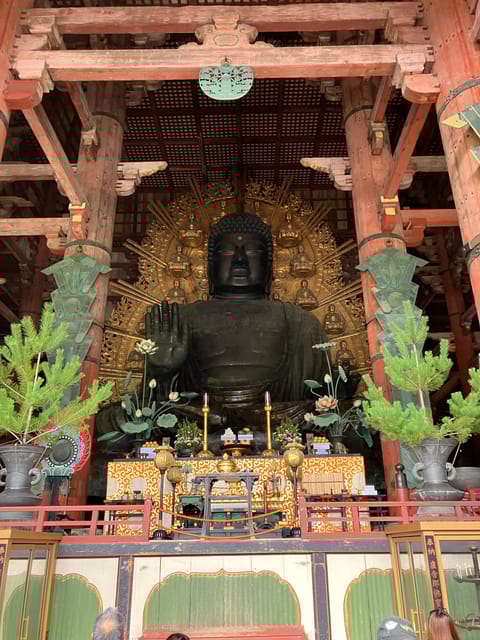 From Osaka: Nara Private Car Tour With Hotel Pickup - Experience and Cultural Insights