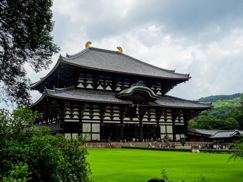 From Osaka: Nara Private Customizable Day Tour - Key Points