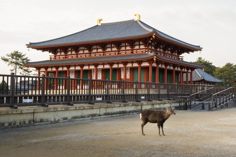 From Osaka: Nara Private Customizable Day Tour - Transportation and Services