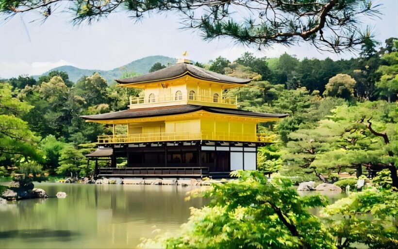 From Osaka: Private Customizable Day Tour to Kyoto - Final Thoughts