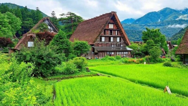 From Osaka: Private Shirakawa-go and Takayama Tour - Frequently Asked Questions