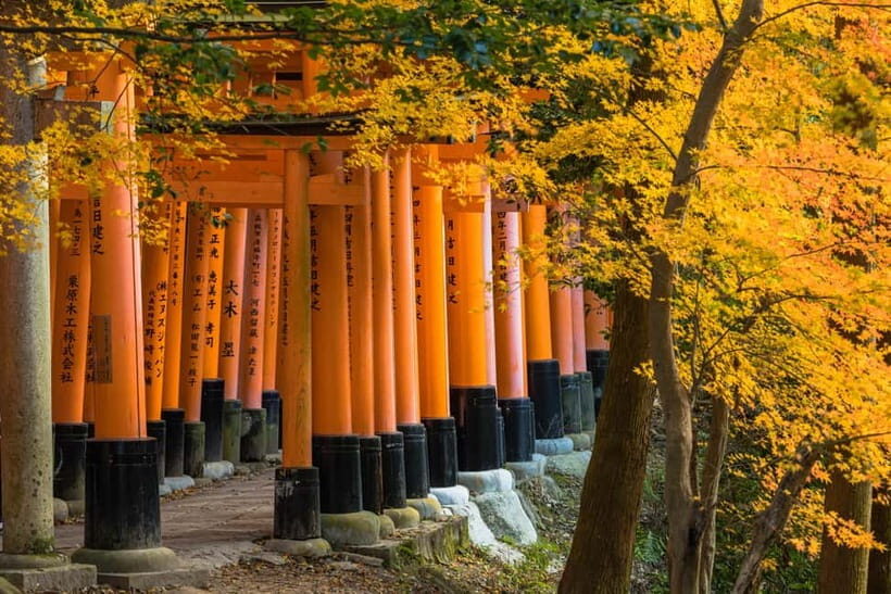 From Osaka: Sagano Train Ride and Kyoto Guided Day Tour - An In-Depth Look at the Tour Experience