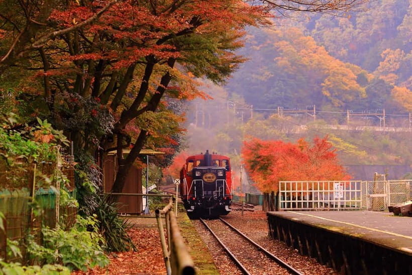 From Osaka: Sagano Train Ride and Kyoto Guided Day Tour - Who Will Love This Tour