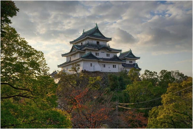From Osaka: Shirahama Coastal Scenery Day Tour - Final Thoughts