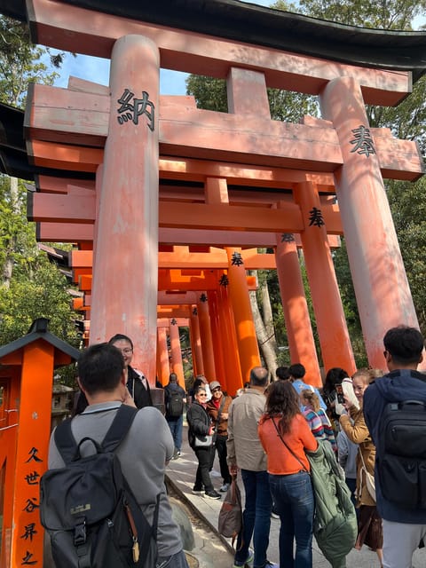 From Osaka:Private Custom Tour to Kyoto - Included Services