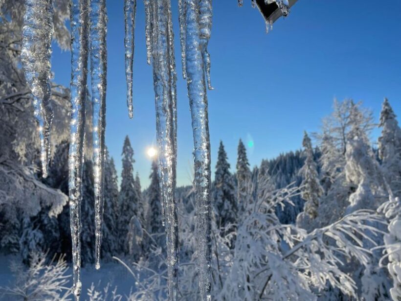 From Oslo: Oslomarka Forest Guided Snowshoeing Tour - The Sum Up: Who Will Love This Tour?