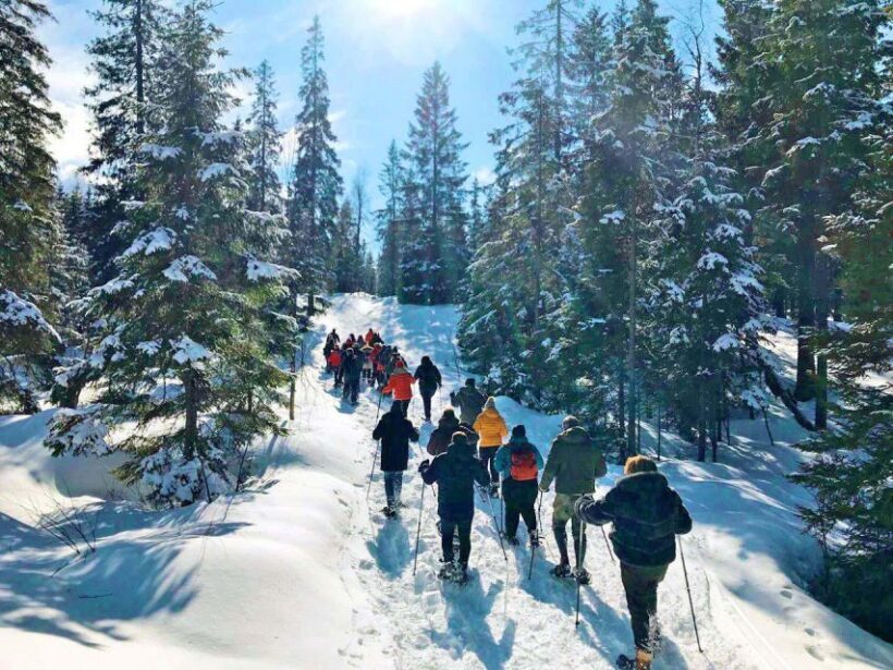 From Oslo: Oslomarka Forest Guided Snowshoeing Tour - FAQ