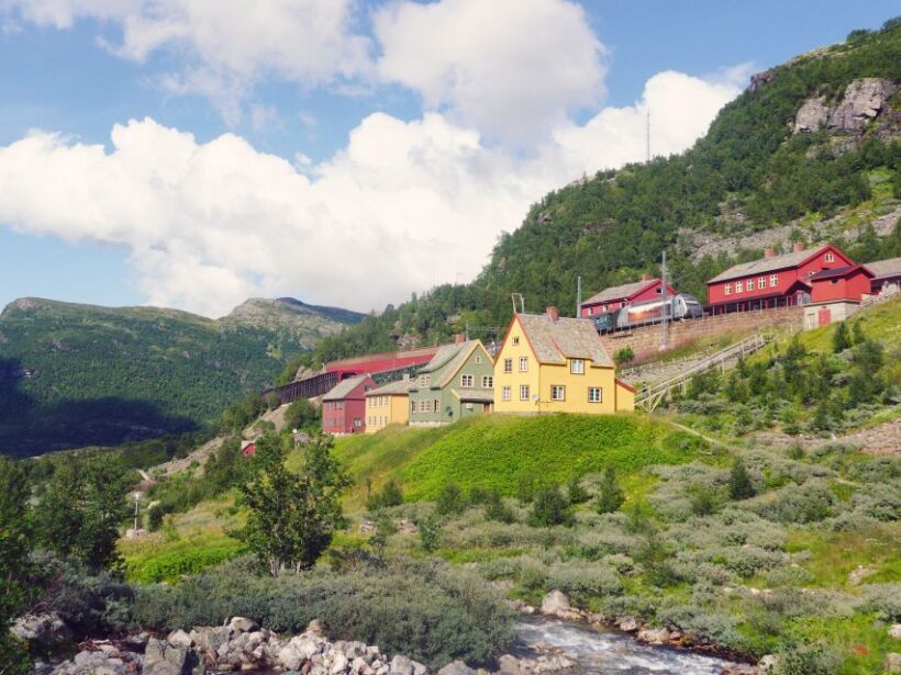 From Oslo: Private Round-Trip Tour to Sognefjord via Flåm - Discovering Norway’s Fjords in a Day: An In-Depth Look