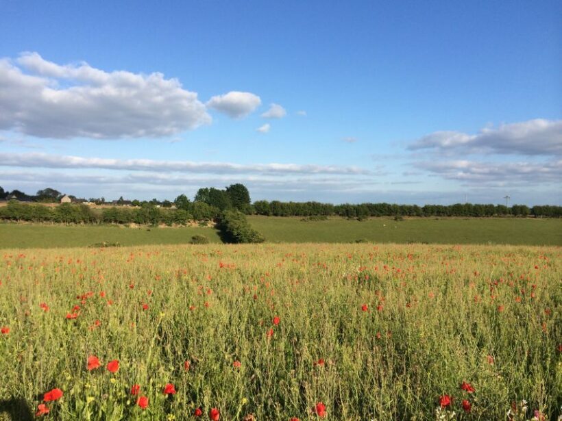 From Oxford: Cotswolds Towns and Villages Small Group Tour - The Sum Up