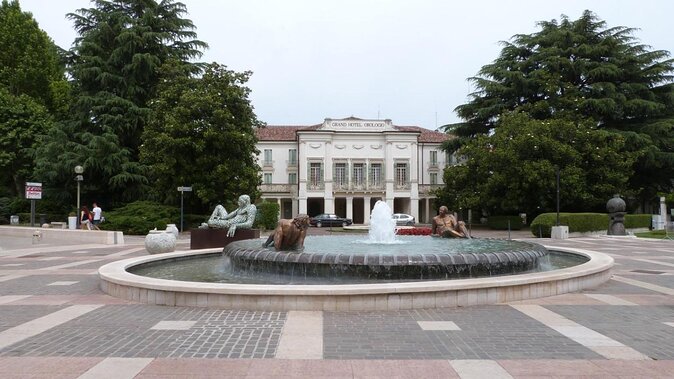 From Padua: Olive Oil & Wine in the Euganean Hills - Whats Included in the Experience