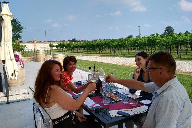 From Padua: Olive Oil & Wine in the Euganean Hills - Discovering Olive Oil Production