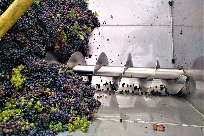 From Padua: Olive Oil & Wine in the Euganean Hills - Preparing for Your Tour