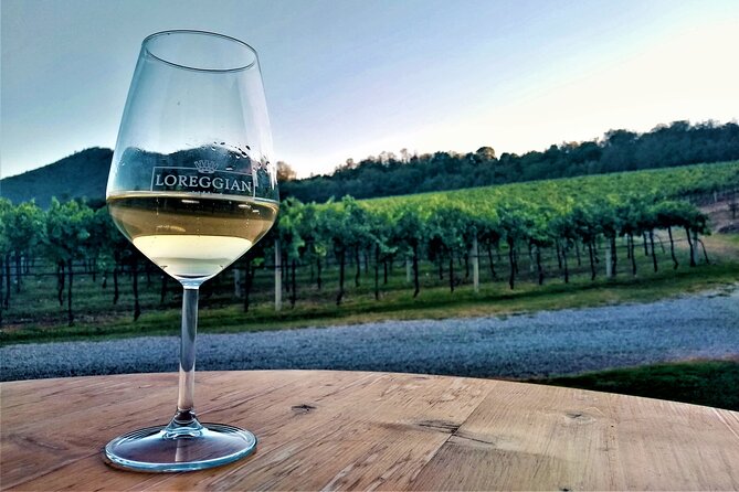 From Padua, Wine Tour in the Euganean Hills - The Itinerary: A Well-Designed Journey