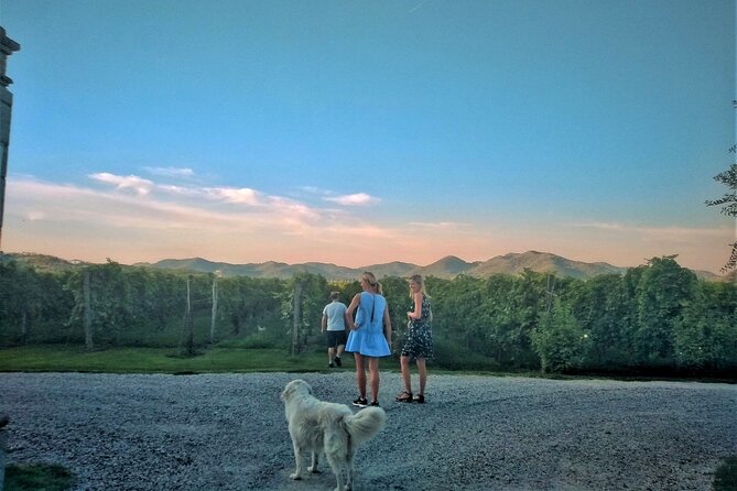 From Padua, Wine Tour in the Euganean Hills - Practical Details: What You Need to Know