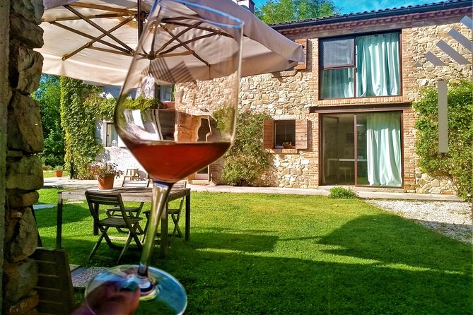 From Padua, Wine Tour in the Euganean Hills - Authentic Experiences and Real Opinions