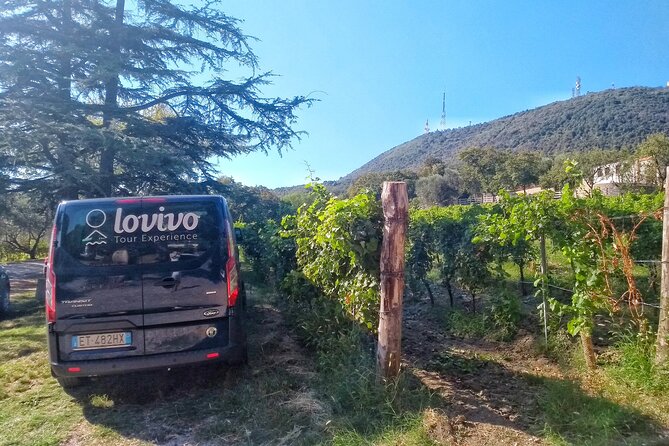 From Padua, Wine Tour in the Euganean Hills - The Sum Up