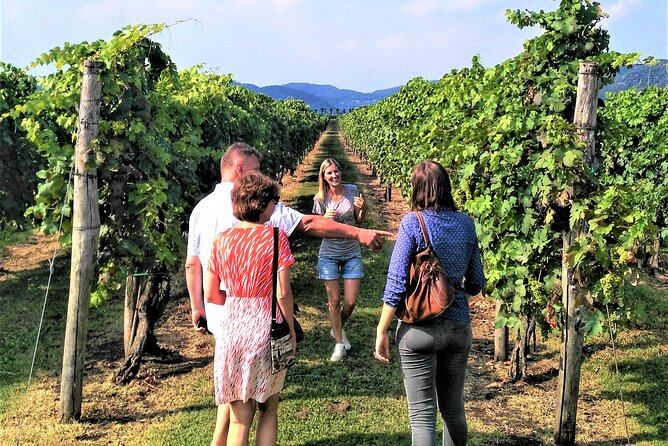 From Padua, Wine Tour in the Euganean Hills - FAQ