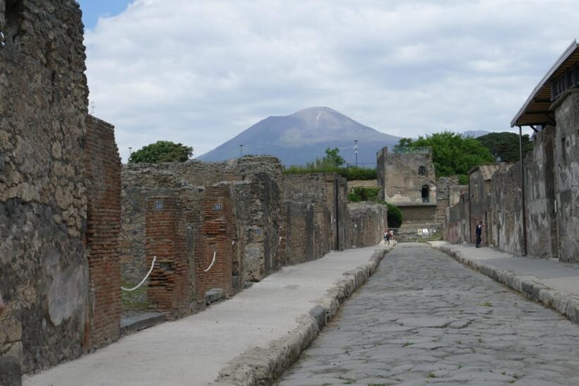 From Paestum:Pompeii guided Tour with Wine Tasting and lunch - Key Points