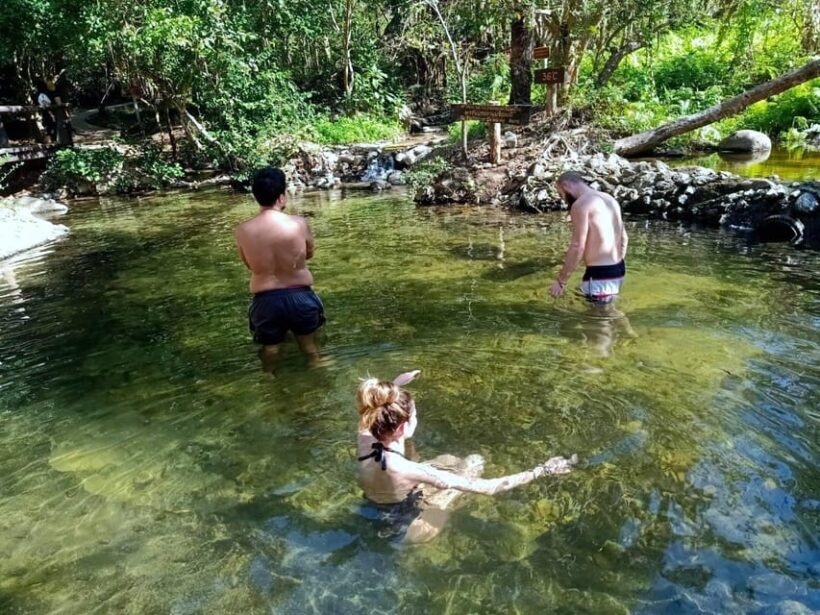 From Pai: Private Highlights Car Day Tour with Pai Canyon - Who Should Consider This Tour?