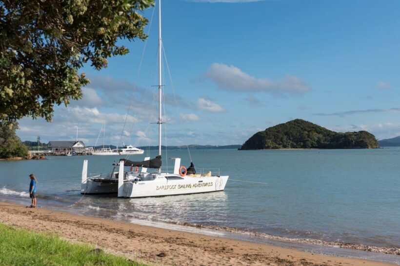 From Paihia: Island-Hopper Sailing Cruise with Picnic Lunch - Reviews: Authentic Voices