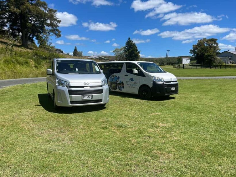 From Paihia: Kawiti Glowworm Caves Guided Tour - Key Points