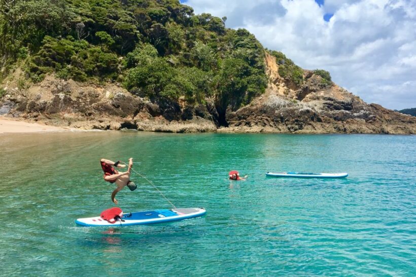 From Paihia: Scenic Cruise with Roberton Island Stopover - Value for Money and Practical Tips