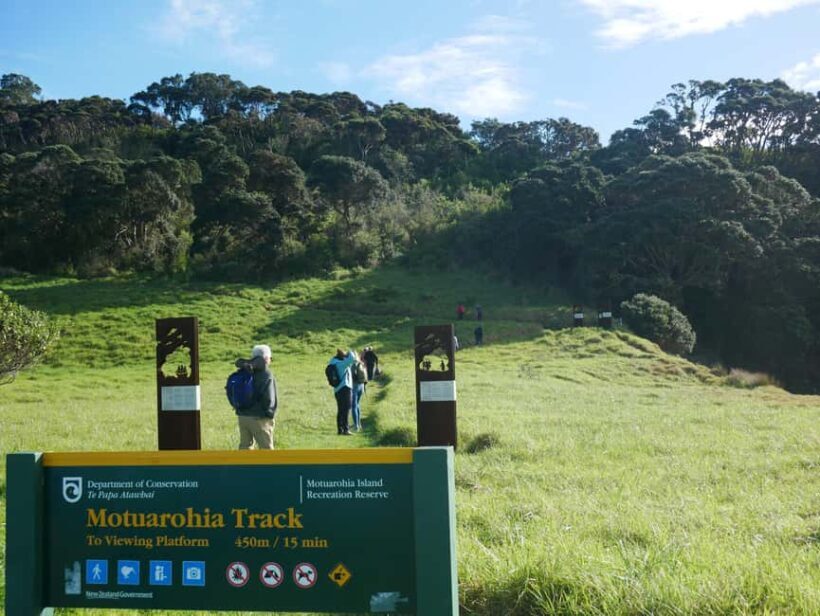 From Paihia: Scenic Cruise with Roberton Island Stopover - Authentic Encounters and Guest Experiences