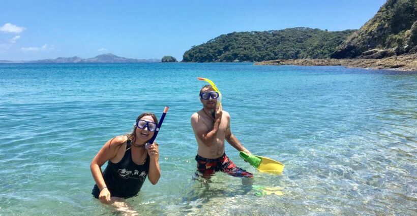 From Paihia: Scenic Cruise with Roberton Island Stopover - FAQs
