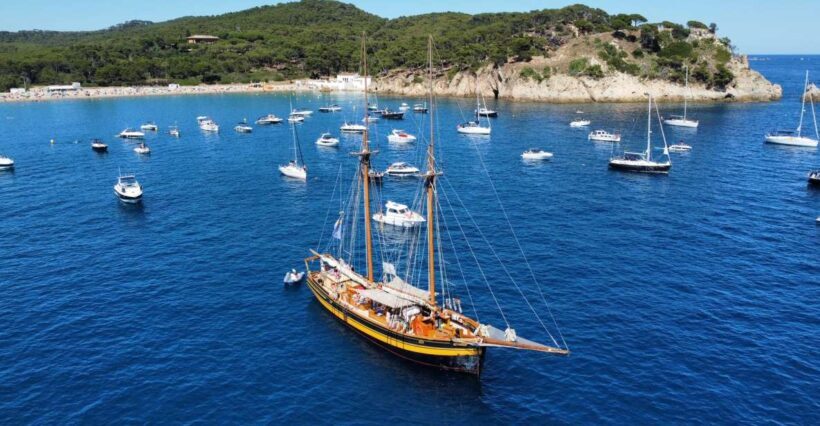From Palamos: Scenic Boat Trip to Calella de Palafrugell - Introduction to the Experience