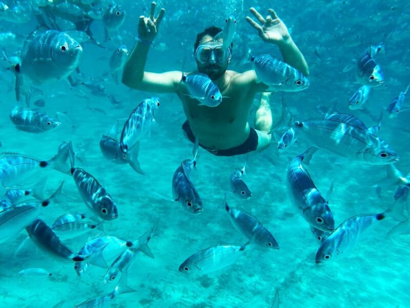 From Palau: La Maddalena Archipelago Catamaran Tour W/ Lunch - Itinerary and Activities