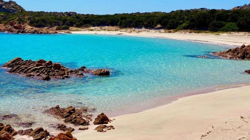 From Palau: Sailing Tour La Maddalena Arcipelago With Lunch - Important Information