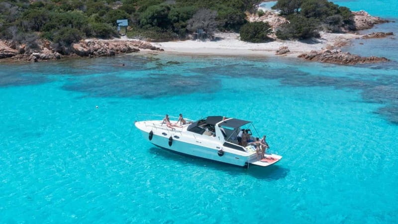 From Palau: Speedboat tour in La Maddalena Archipelago - Key Points