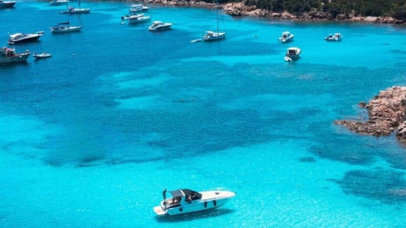 From Palau: Speedboat tour in La Maddalena Archipelago - Who Will Love This Tour?