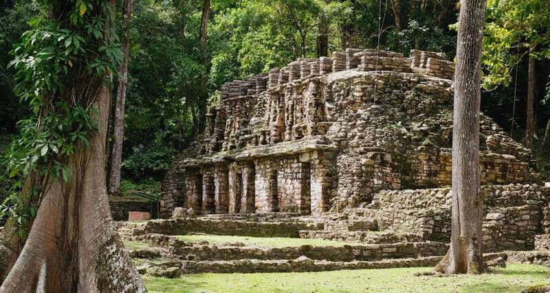 From Palenque: Bonampak & Yaxchilán - Practical Considerations and Value