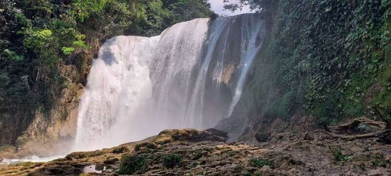 From Palenque: El Salto Waterfall Private Tour - Exploring the Beauty of El Salto Waterfalls
