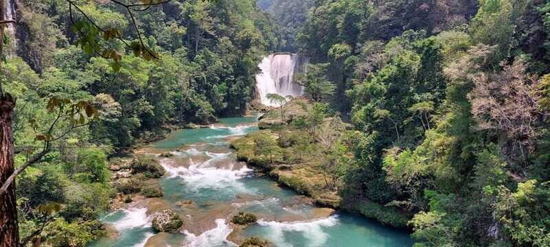 From Palenque: El Salto Waterfall Private Tour - The Value of the Experience