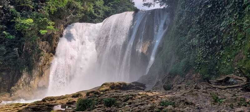 From Palenque: El Salto Waterfall Private Tour - Who Should Consider This Tour?