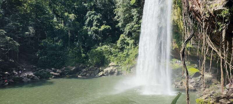 From Palenque: Misol-Ha & Agua Azul Waterfalls Day Tour - A Detailed Look at the Tour Experience