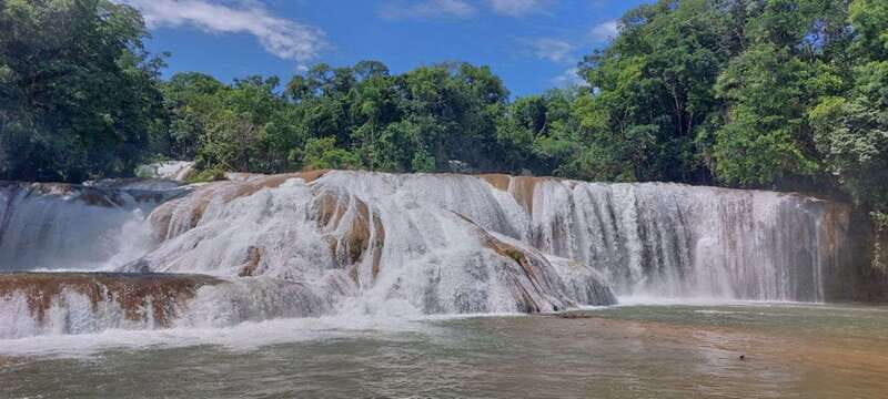 From Palenque: Misol-Ha & Agua Azul Waterfalls Day Tour - Who This Tour Is Best For