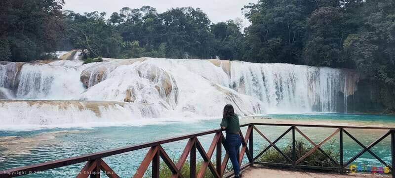 From Palenque: Misol-Ha & Agua Azul Waterfalls Day Tour - FAQs