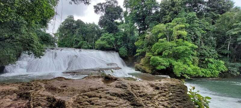 From Palenque: Palenque and Roberto Barrios Waterfalls Tour - Why This Tour Offers Good Value