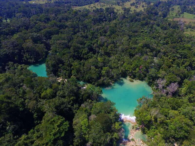From Palenque: Palenque Ruins and waterfalls Roberto Barrios - Is This Tour Worth It?